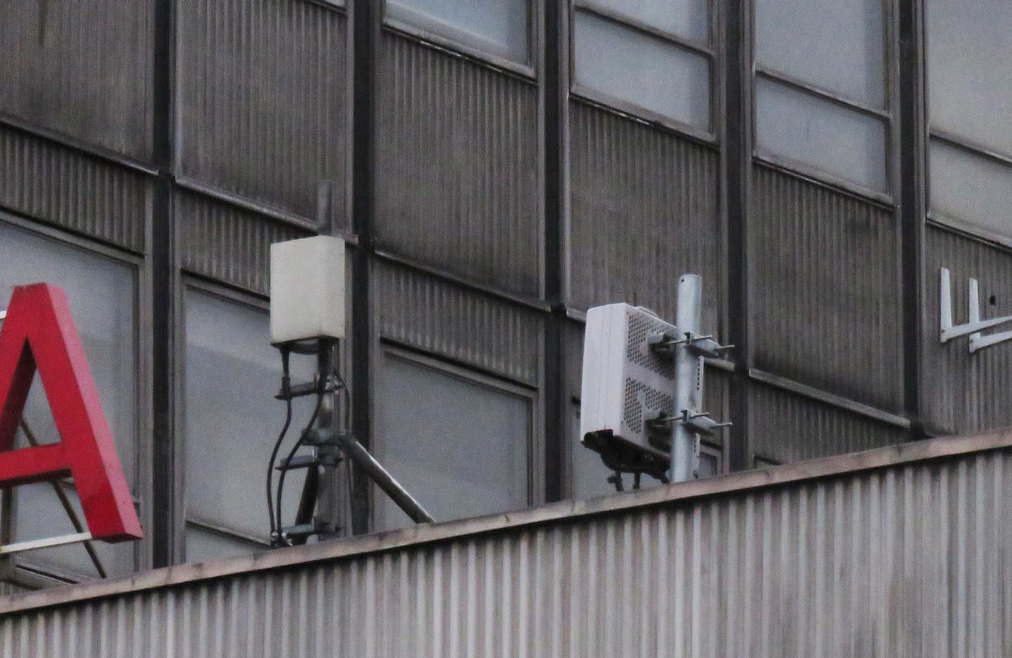 Poland Mobile Masts (T-Mobile, Orange, Plus, Play)