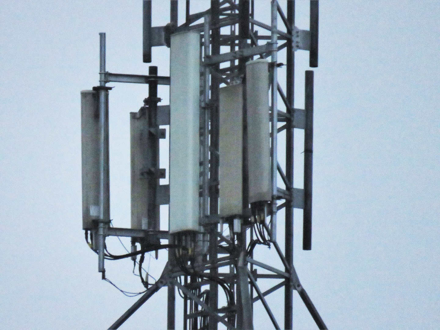 Poland Mobile Masts (T-Mobile, Orange, Plus, Play)